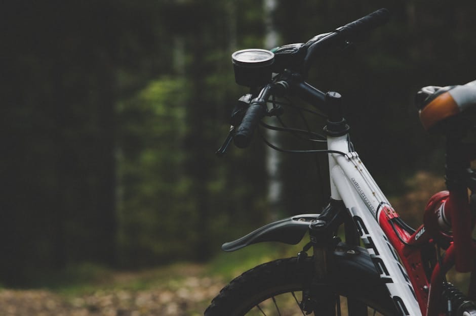 The Best Trail Mountain Bikes 2026: Real Testing, Honest Rankings